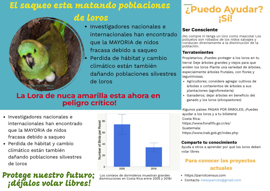 Mesoamerican Parrot Census Network – Red Mesoamericana para el ...
